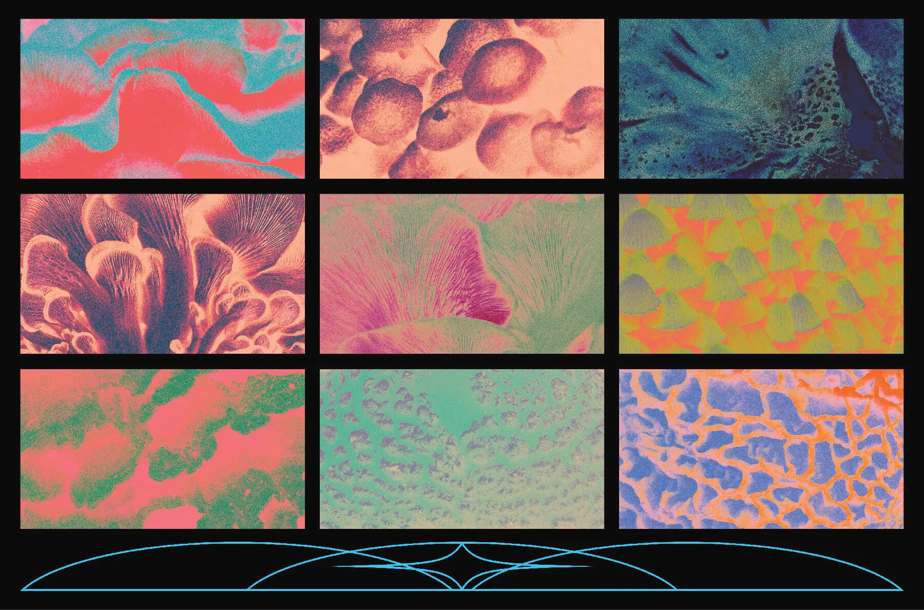 Fungi Textures Pack Graphics - YouWorkForThem