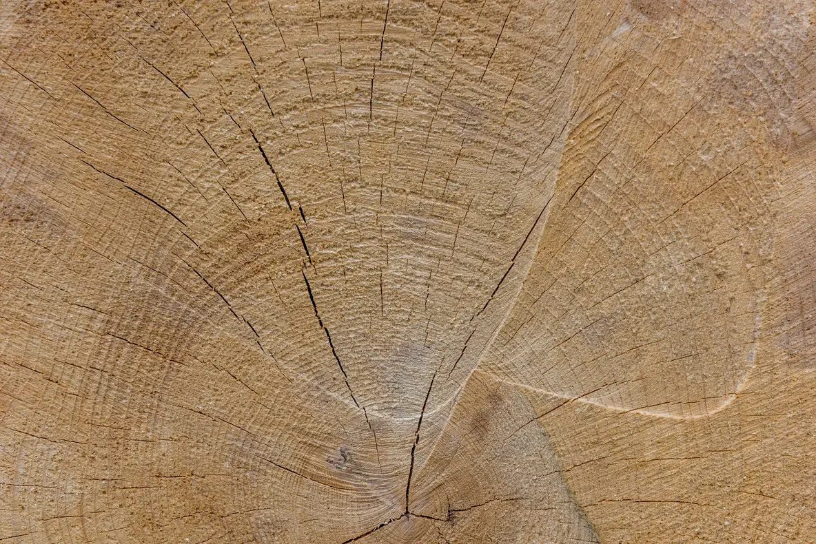 Wooden Stylee Photo (100213) - YouWorkForThem