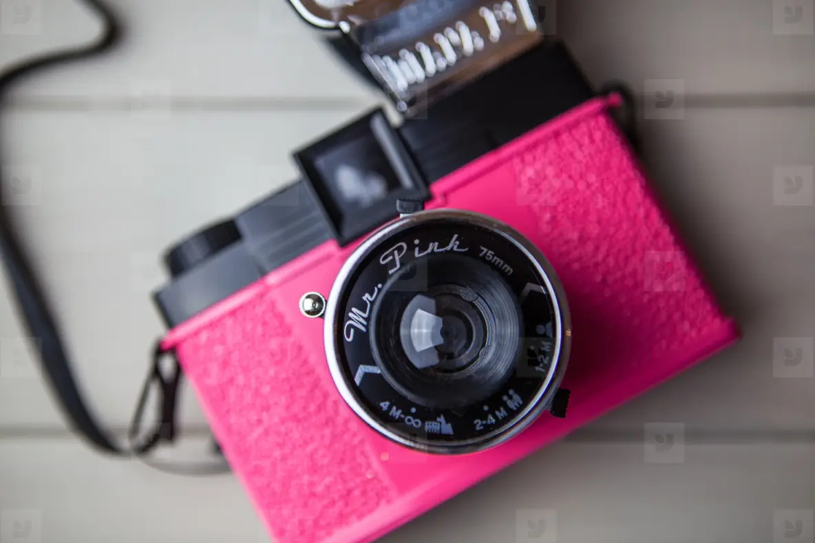 Retro Pink Camera Photo (103012) - YouWorkForThem