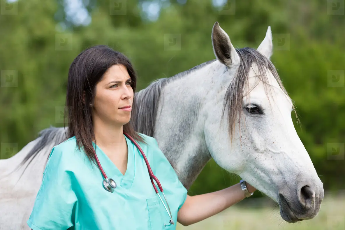 Veterinary On A Farm Photo (105999) - YouWorkForThem