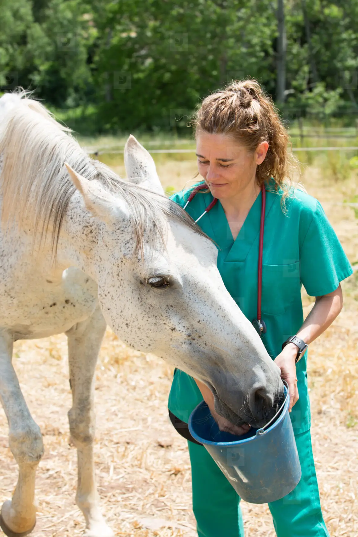 Veterinary On A Farm Photo (108182) - YouWorkForThem