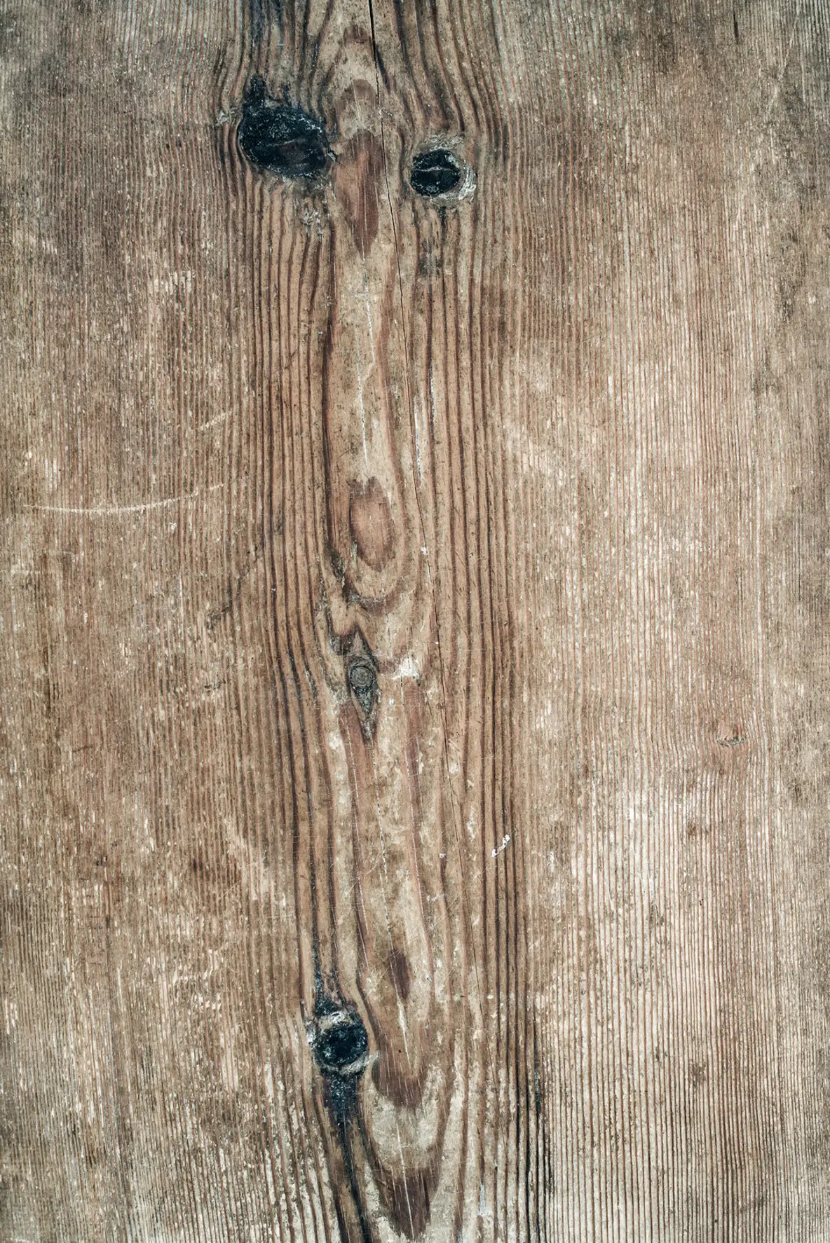 Rustic Vintage Nature Background
