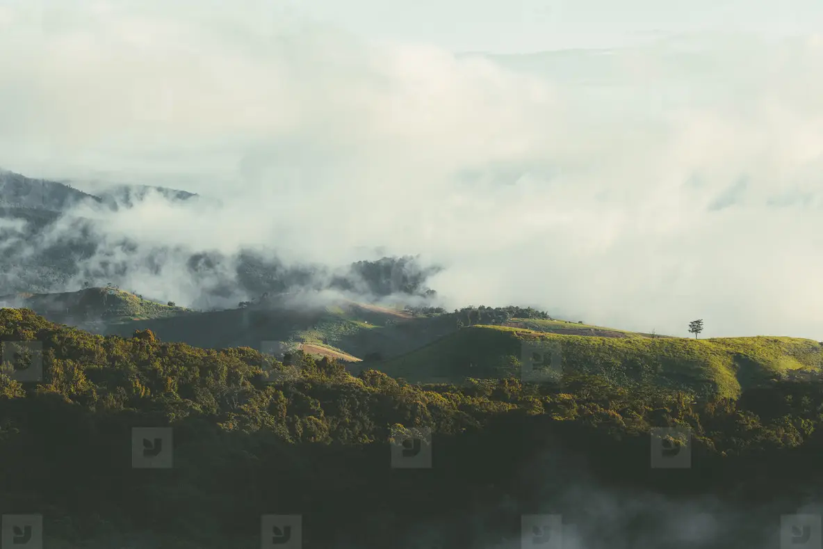 Mist On The Mountain Photo (111862) - YouWorkForThem