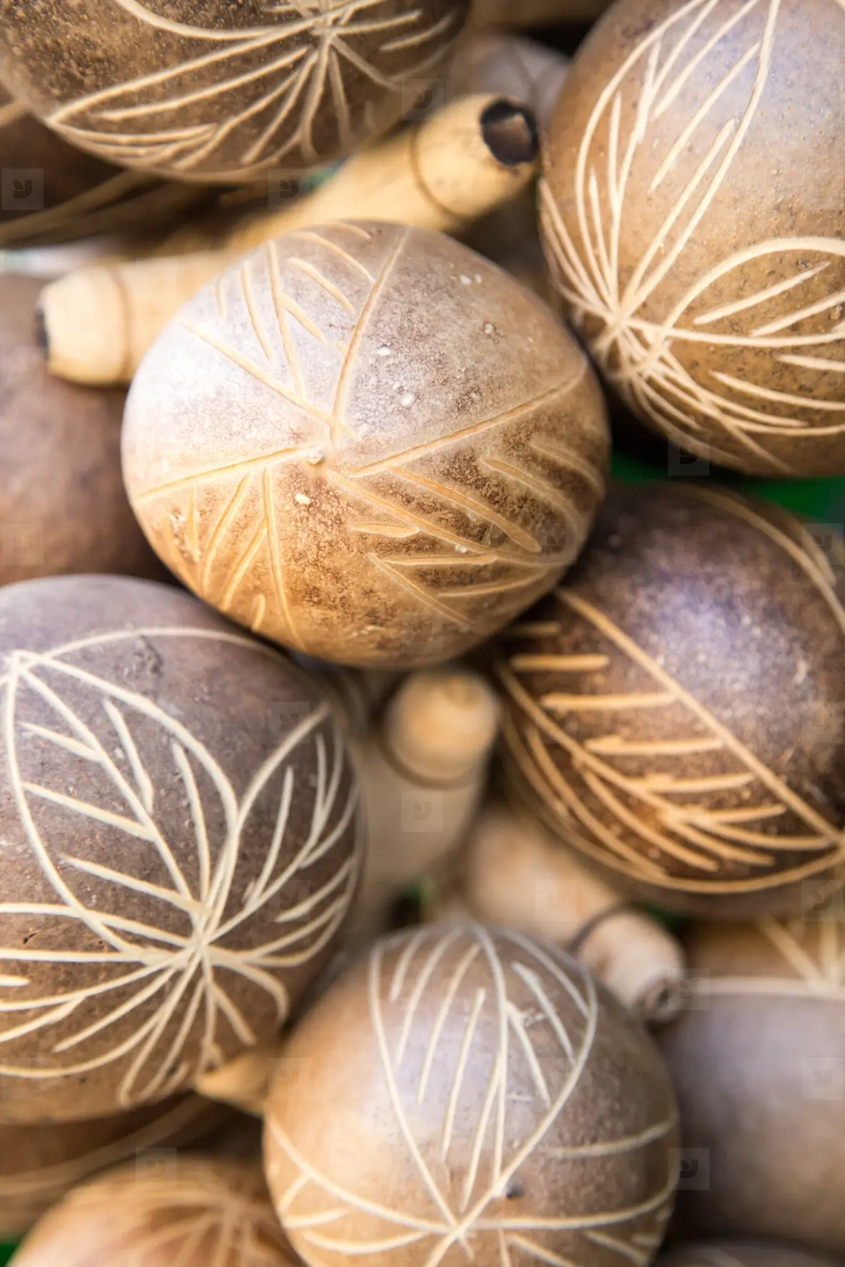A Closeup Of Maraca Photo (118359) - YouWorkForThem