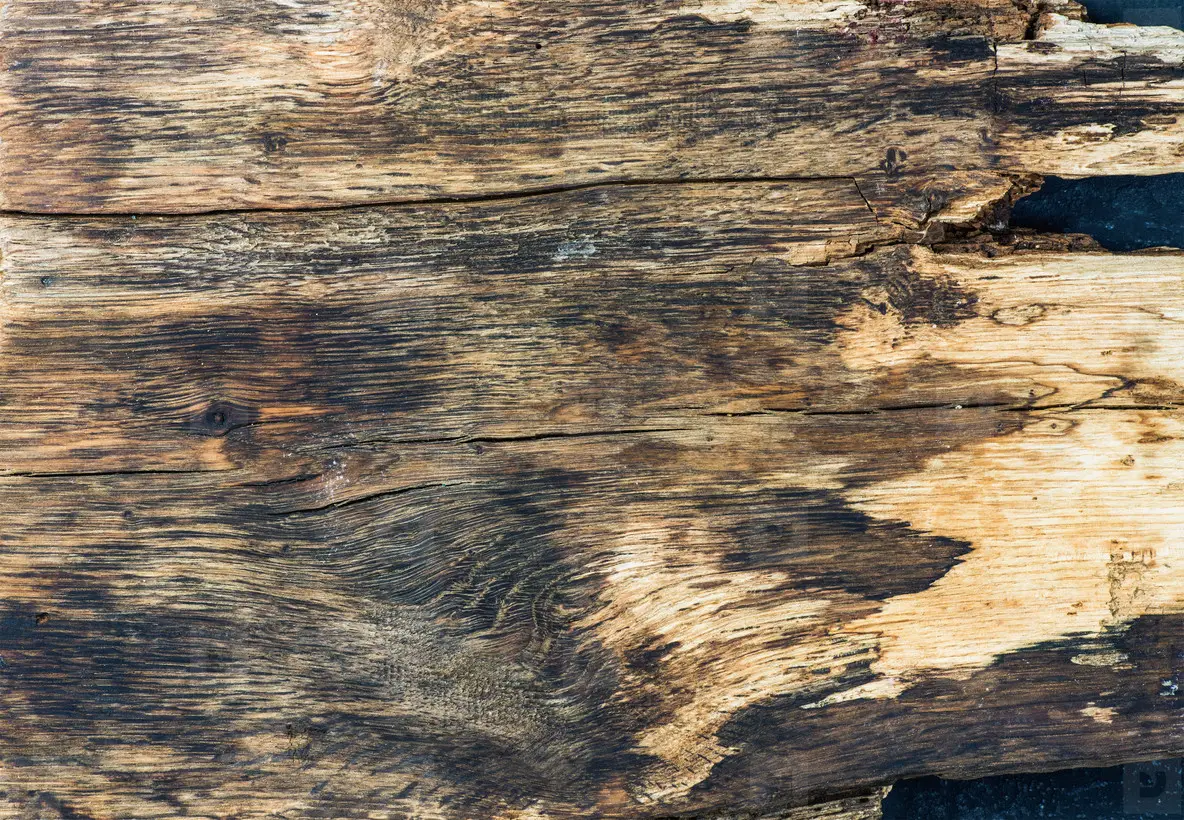 Old Rustic Natural Wood Texture, Wallpaper And Background Photo (118727 ...