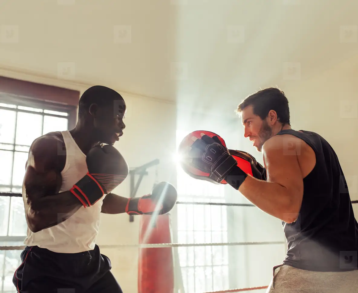 African Male Boxer Training With Partner In Gym Photo (126563 ...