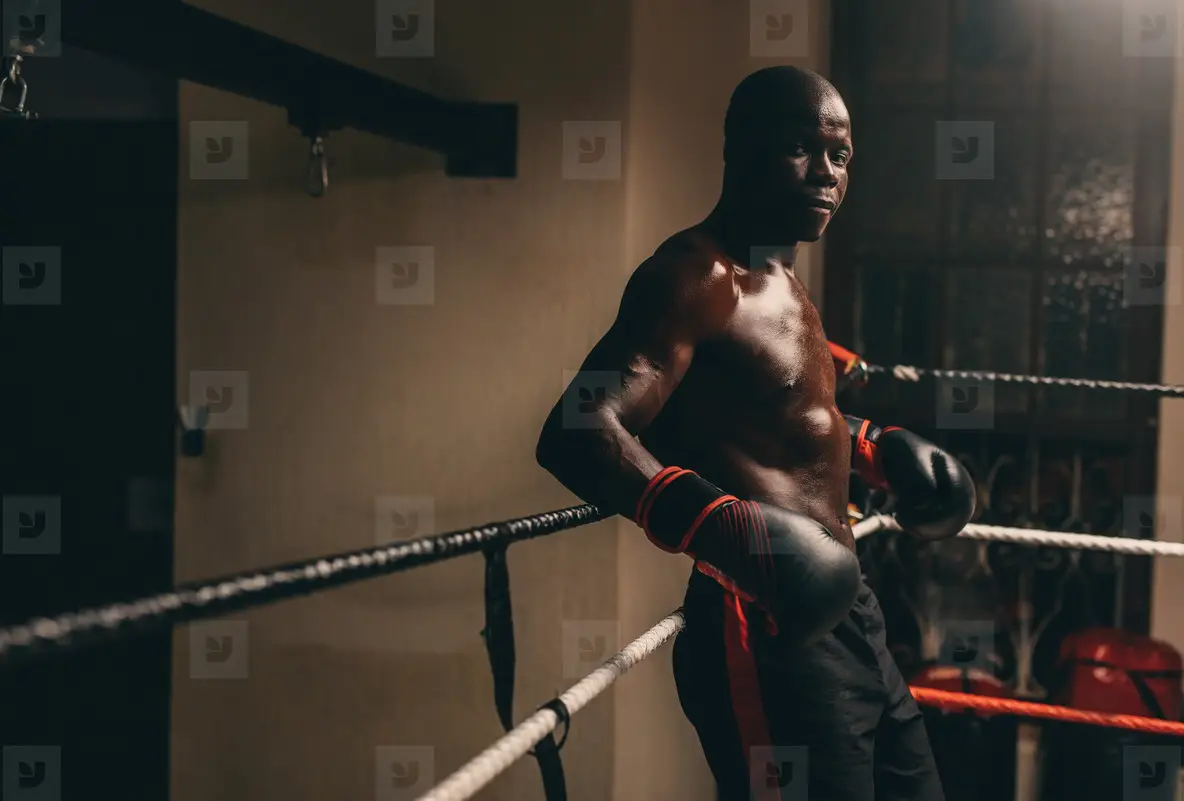 Muscular Young African Boxer Resting In His Corner Photo (126608 ...