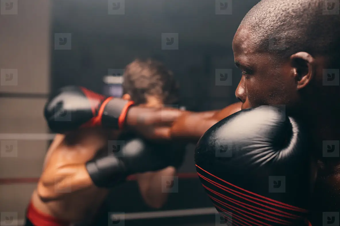 In Focus View Of Boxer Missing A Punch Photo (126633) - YouWorkForThem
