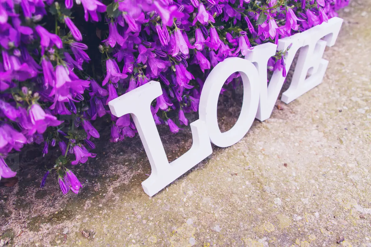 Purple Word Love