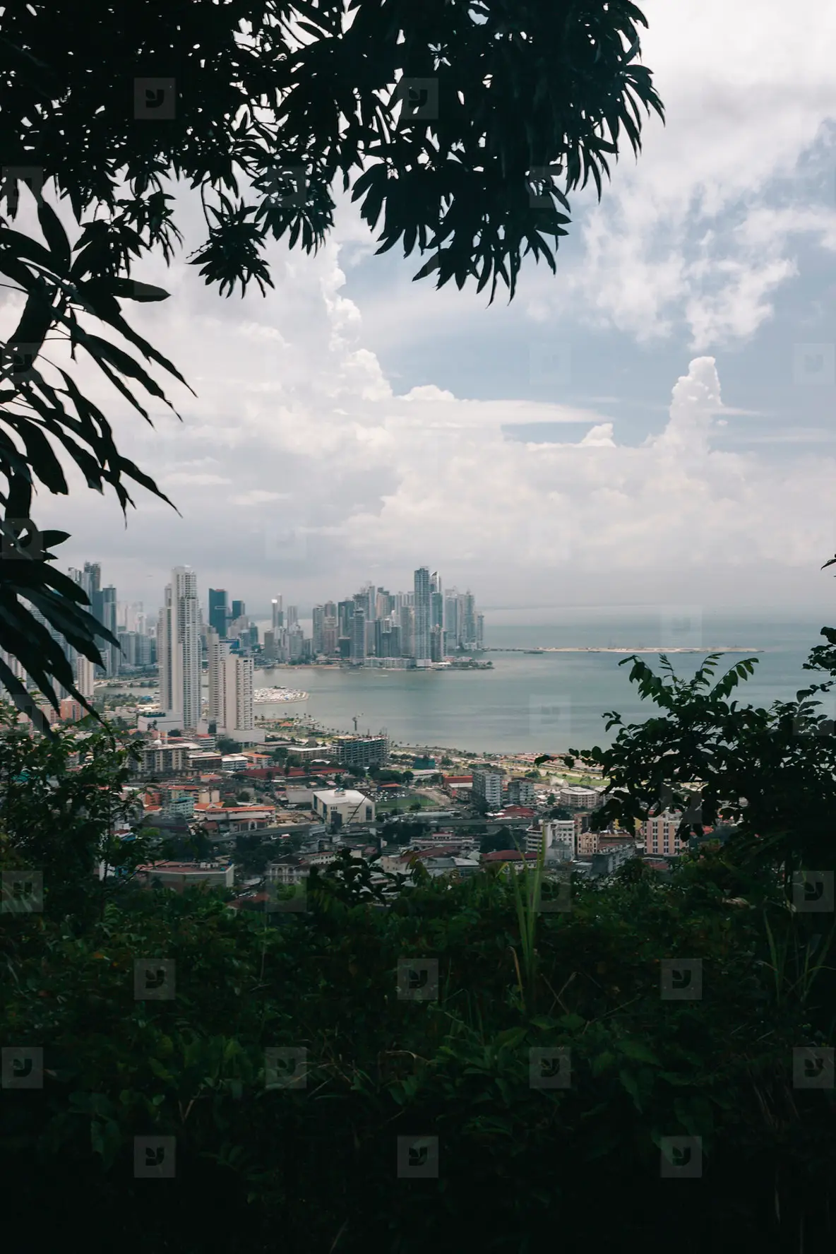 Aerial View Of The Panama City Skyline Photo (133494) - YouWorkForThem