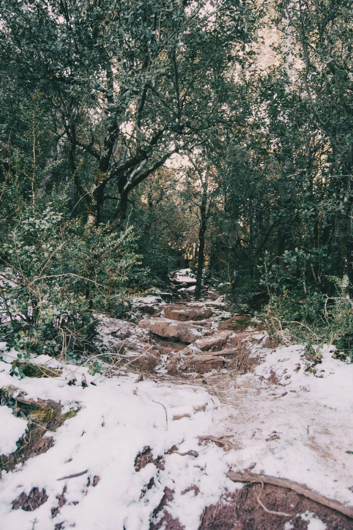 Snowy Mountain Trail Photo (147162) - YouWorkForThem