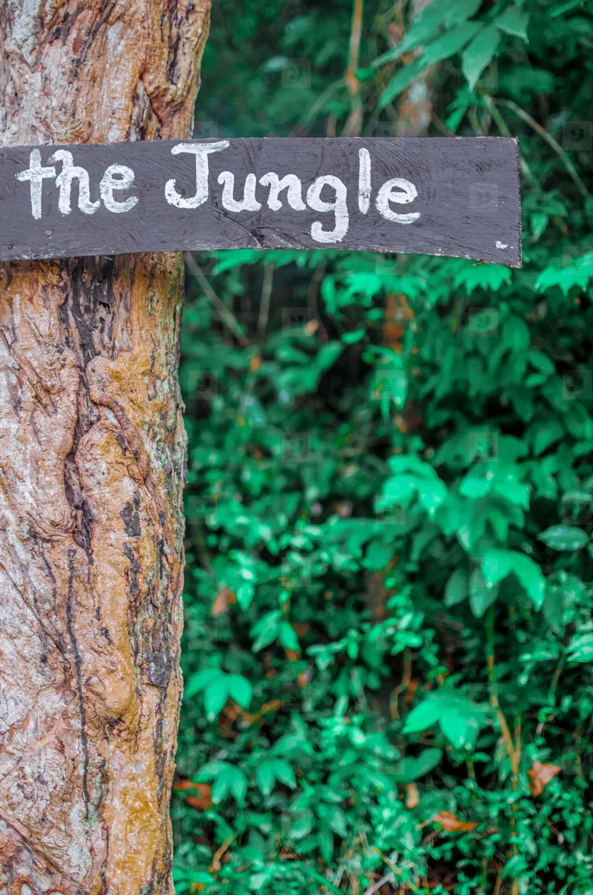 The Jungle Sign Photo (150573) - YouWorkForThem