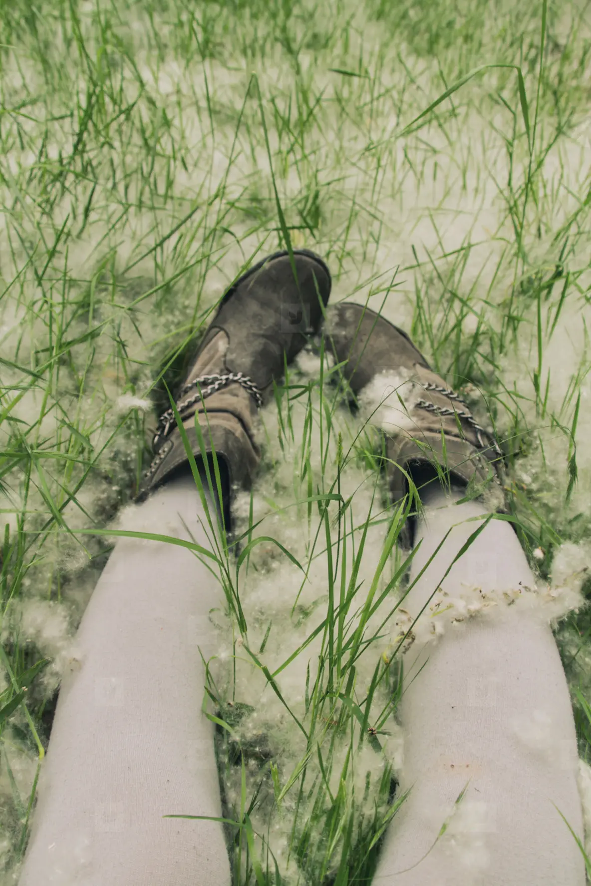 Legs Over Grass And Pollen Photo (152453) - YouWorkForThem