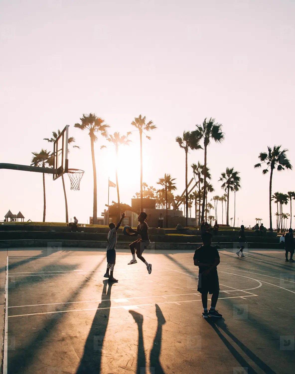 Basketball On Venice Beach Photo (162625) - YouWorkForThem