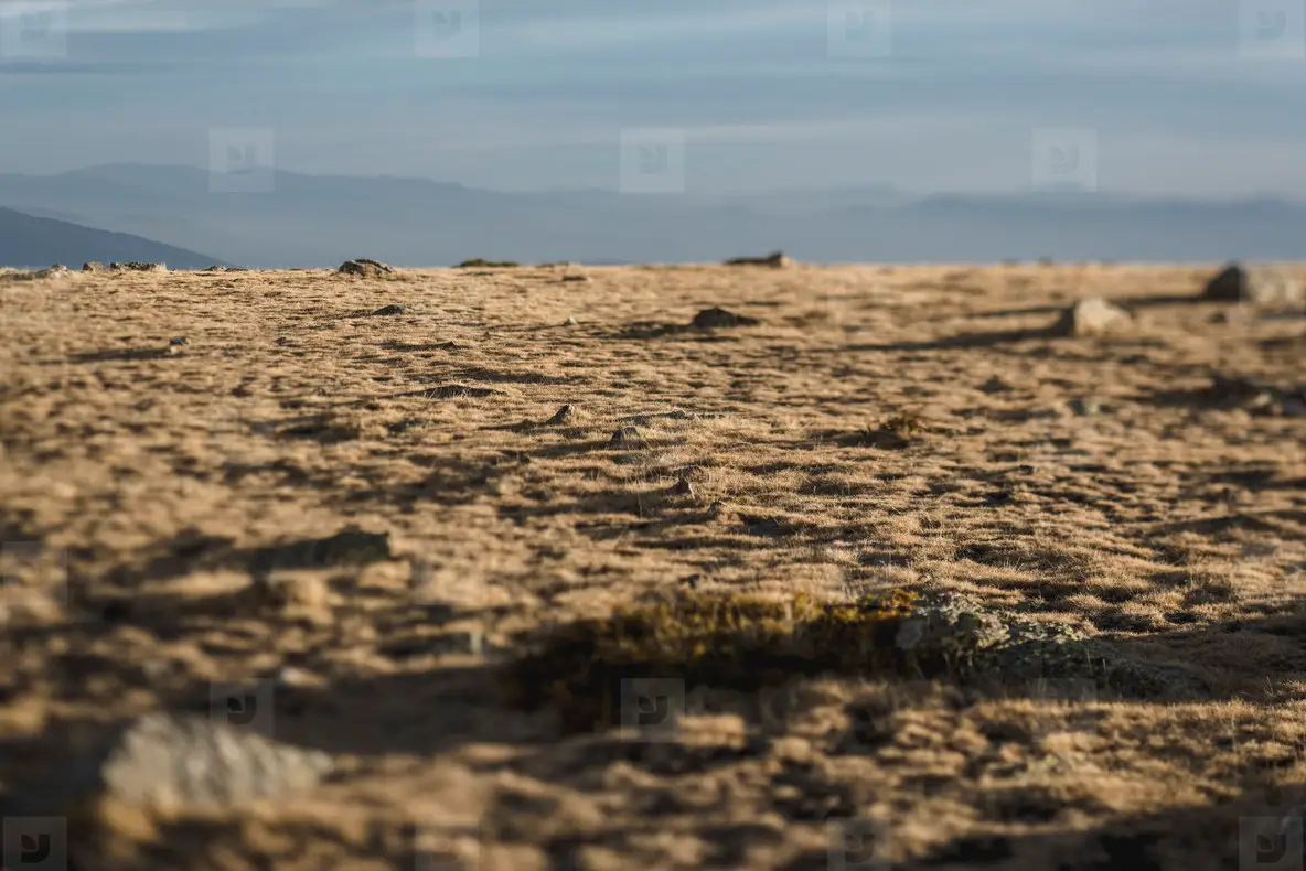 Remote Desert Landscape With Rocks Photo (162812) - YouWorkForThem