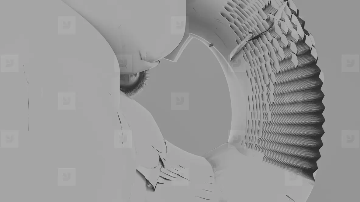 01012019 11 Photo (166623) - YouWorkForThem