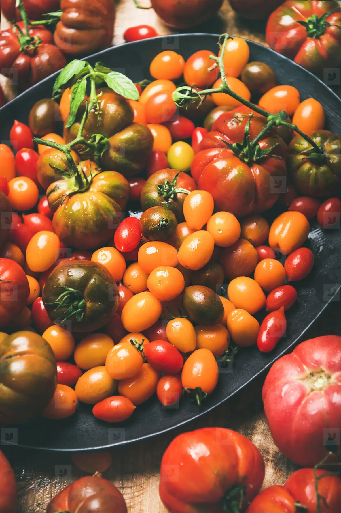Fresh Colorful Ripe Tomatoes, Selective Focus. Fresh Colorful Ripe Fall ...
