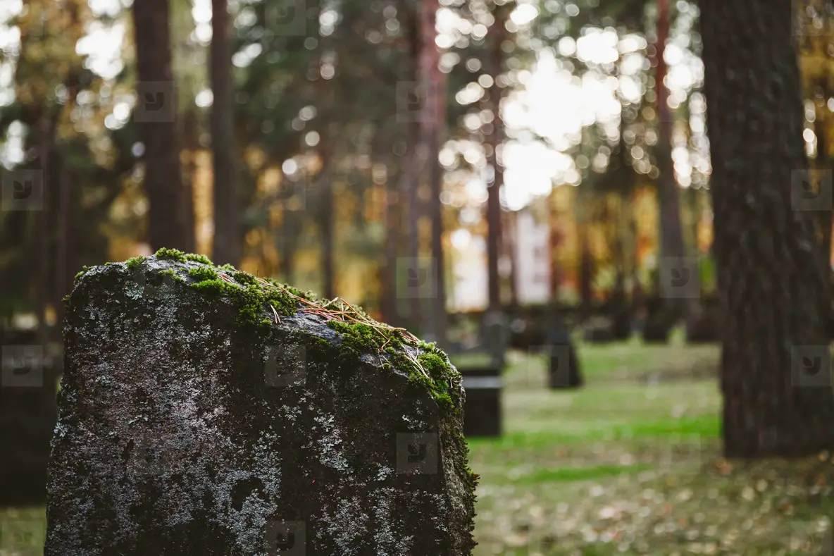 Close Up View Of The Old Tombstone In The Cemetery Photo (190629 ...