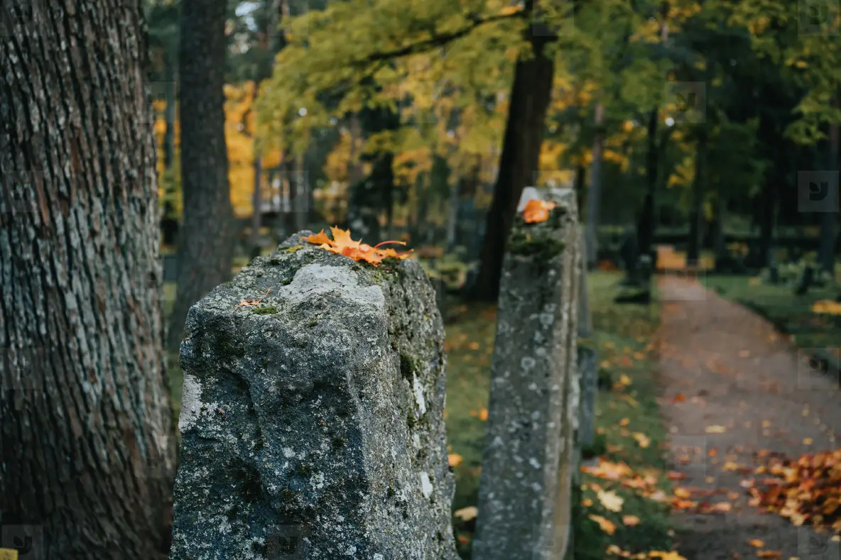 Close Up View Of The Old Tombstone In The Cemetery Photo (190744 ...