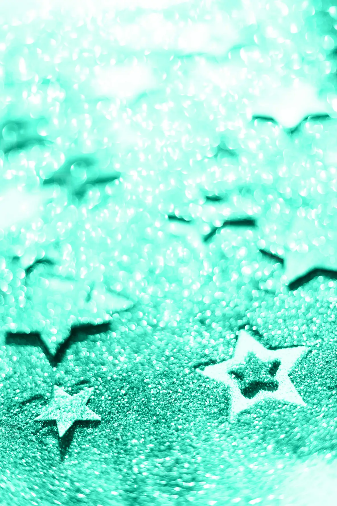 Christmas Glitter Stars In Mint Color Photo (191057) - YouWorkForThem