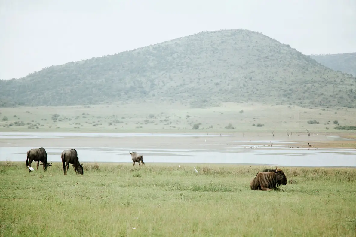 Pilanesberg National Park Photo (203067) - YouWorkForThem