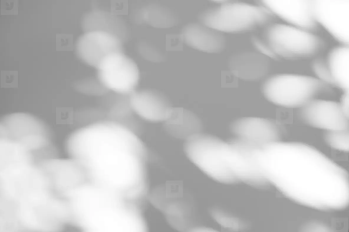 Summer Shadow Overlay Photo (209292) - YouWorkForThem
