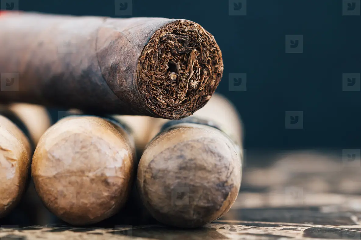 Close-up Of Cuban Cigars On Brown Marble. Macro Shot Photo (210132 ...