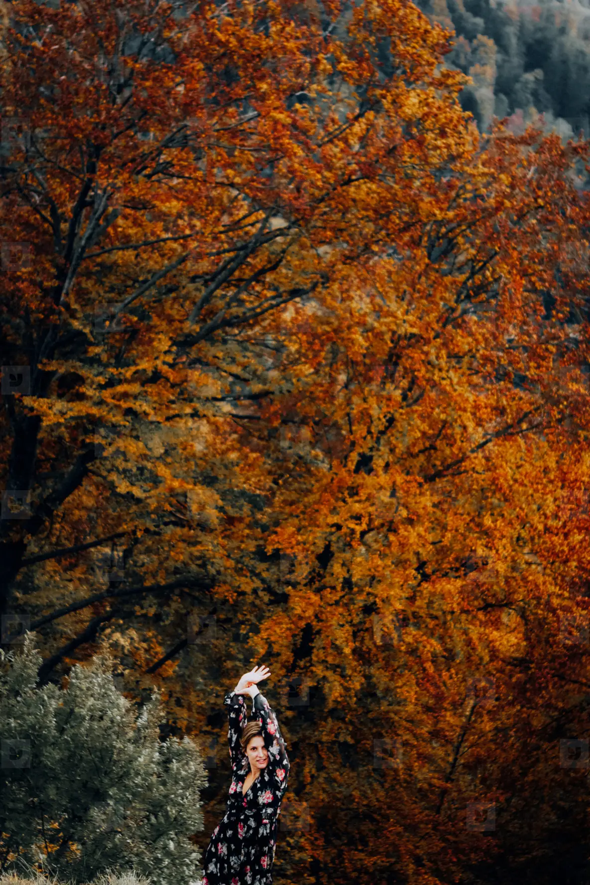 Young Women During Fall 6 Photo (219780) - YouWorkForThem