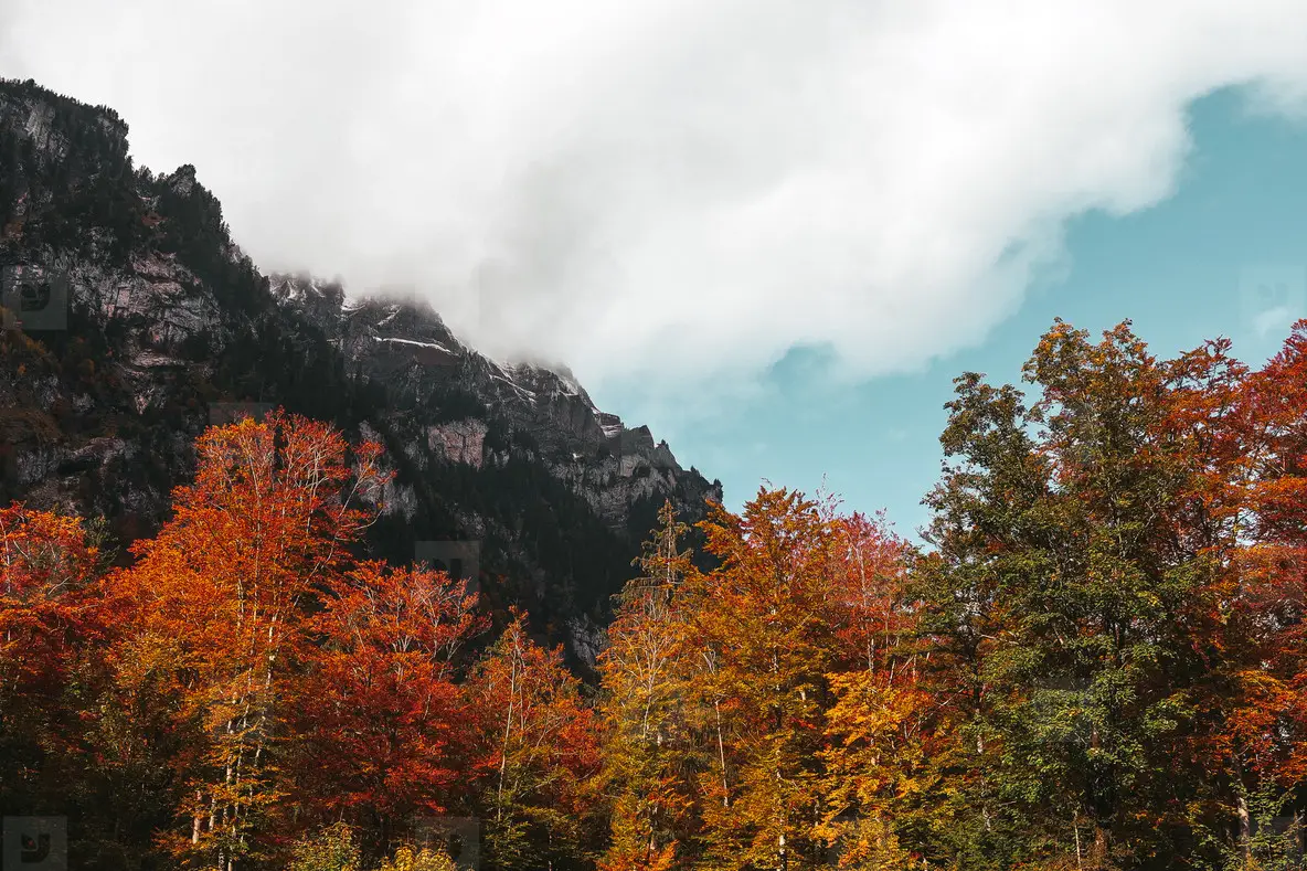 Blausee Lake, Switzerland 1 Photo (221352) - YouWorkForThem