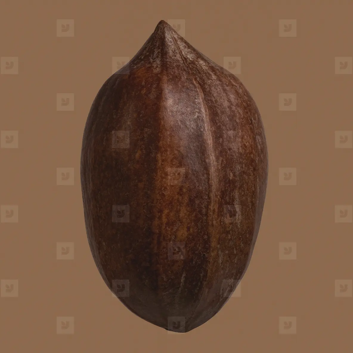 Close Up Whole Pecan In Brown Shell Photo (247139) - YouWorkForThem