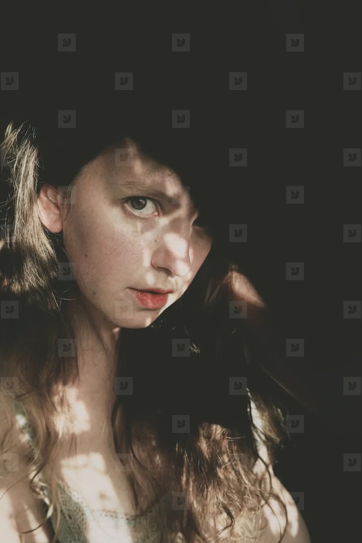 Artistic Portrait Of A Young Woman With Retro Shadow Play Style Photo ...
