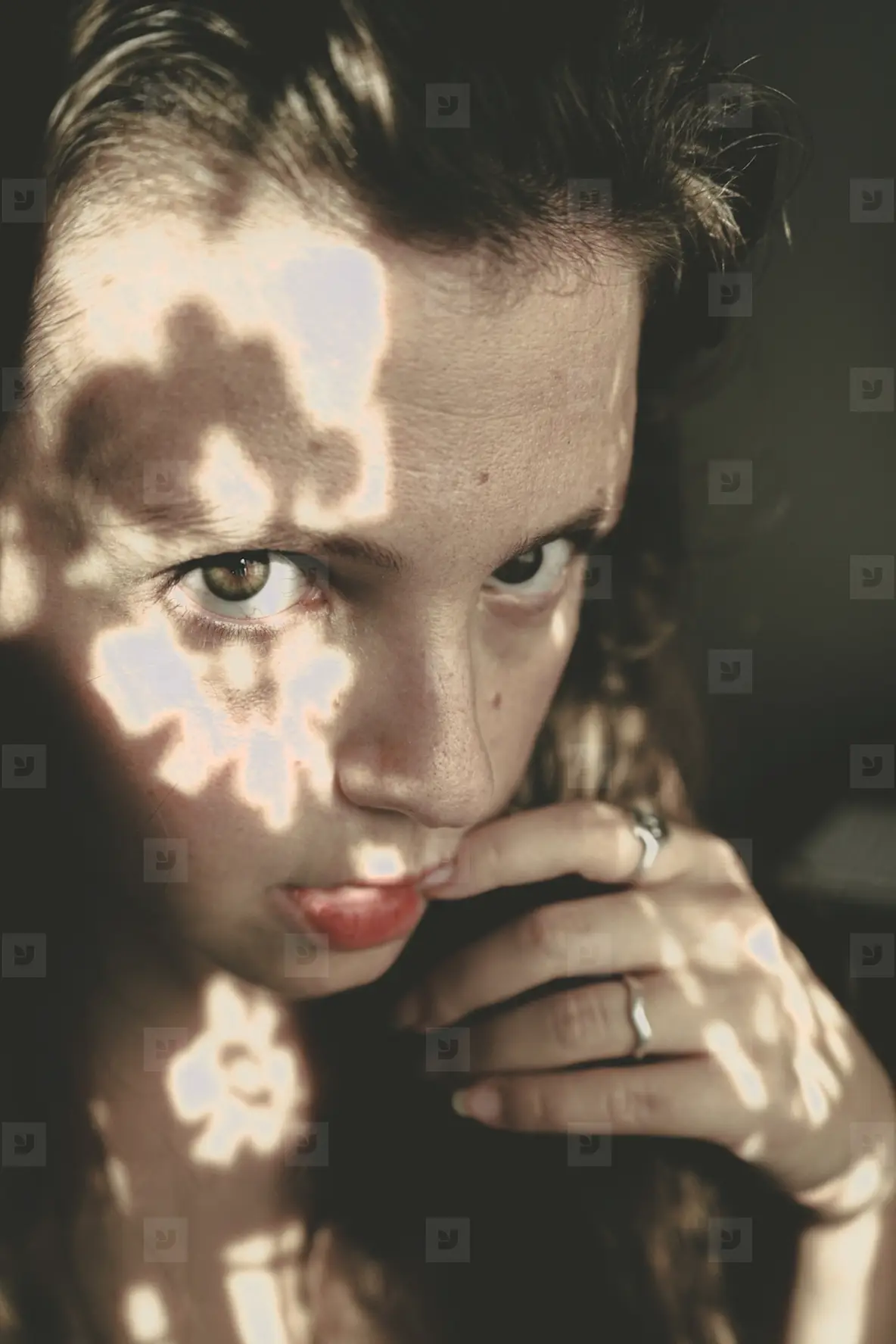Artistic Portrait Of A Young Woman With Retro Shadow Play Style Photo ...
