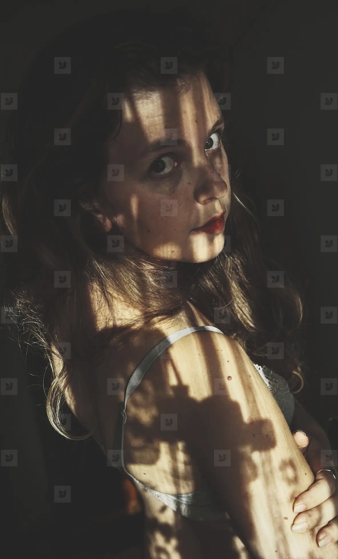 Artistic Portrait Of A Young Woman With Retro Shadow Play Style Photo ...