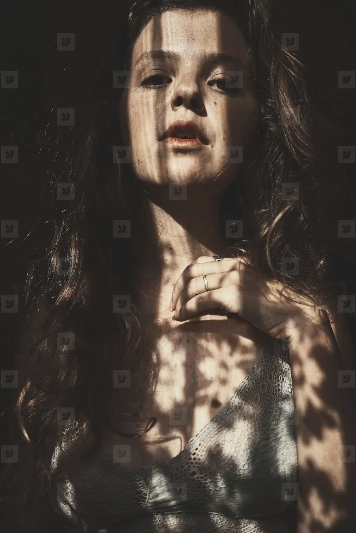 Artistic Portrait Of A Young Woman With Retro Shadow Play Style Photo ...