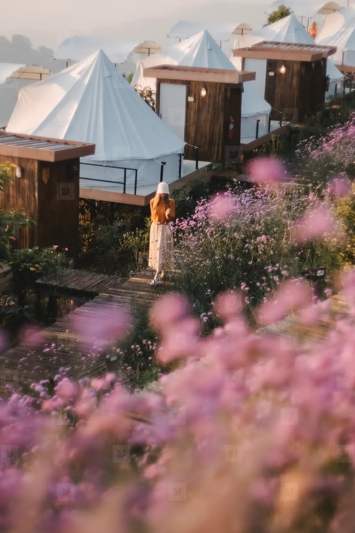 Tent View And Flowers Photo (263123) - YouWorkForThem