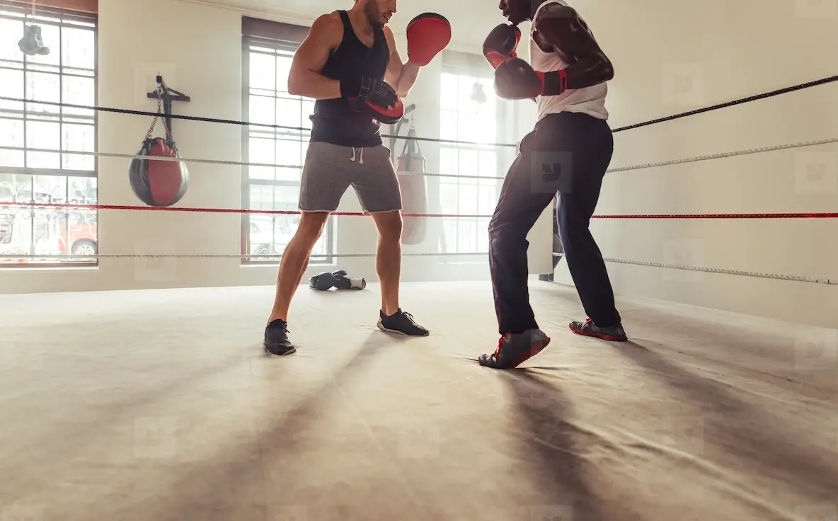 Boxer Training With His Coach In A Boxing Ring Photo (264013 ...