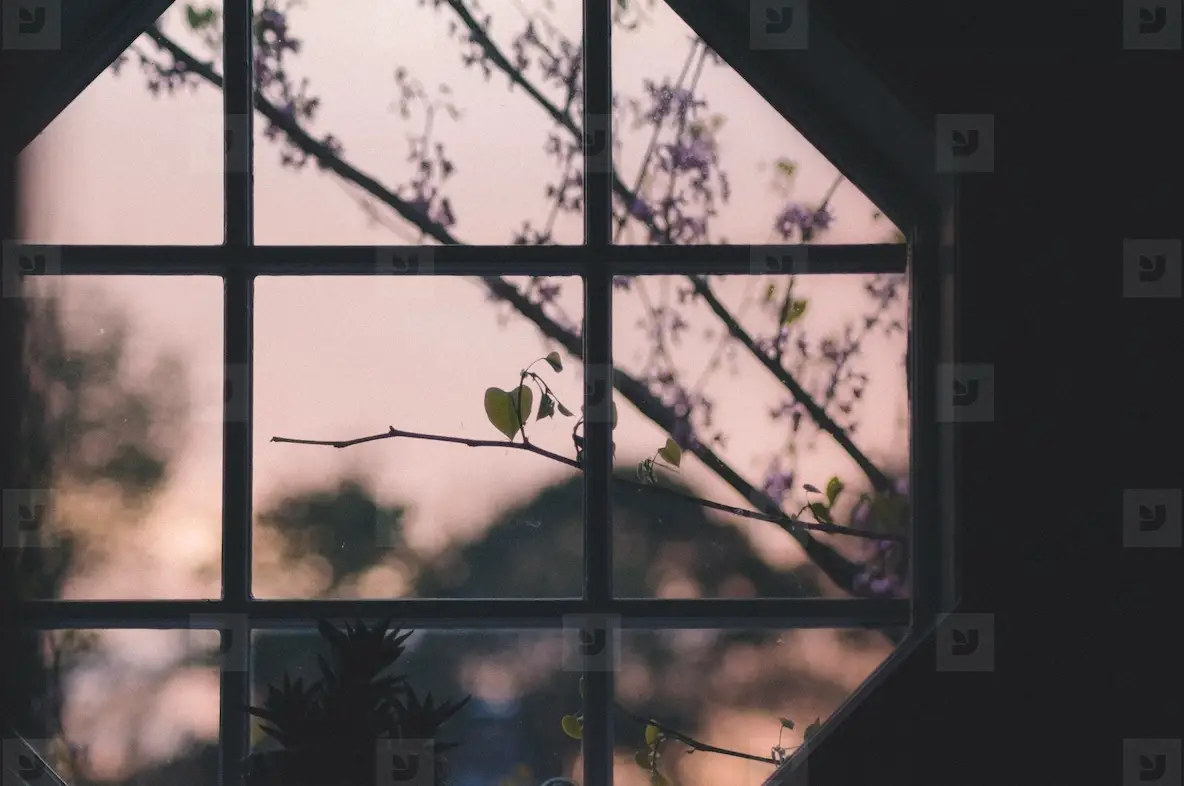 Early Spring Sunset Photo (271404) - YouWorkForThem