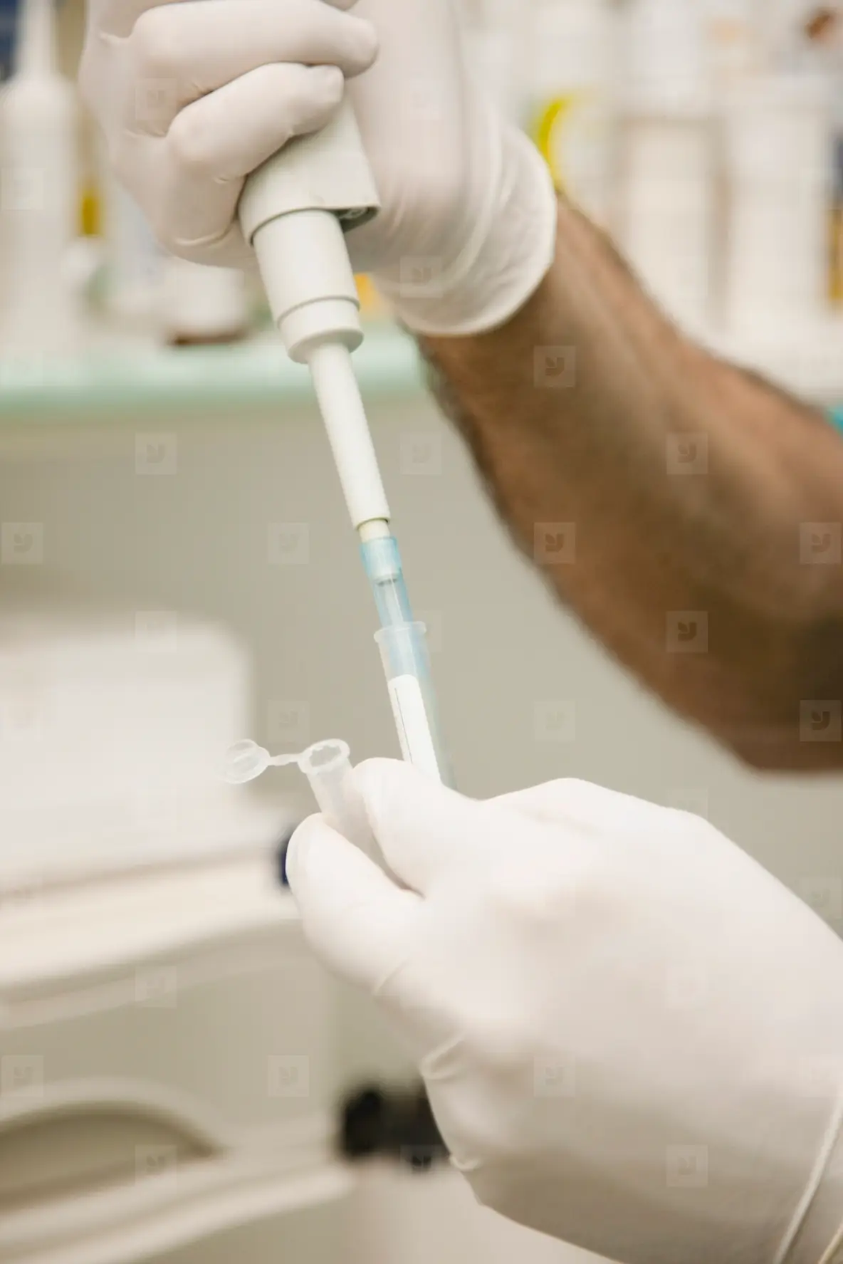 Hands With Surgical Gloves Holding A Medical Dropper Photo (279285 ...