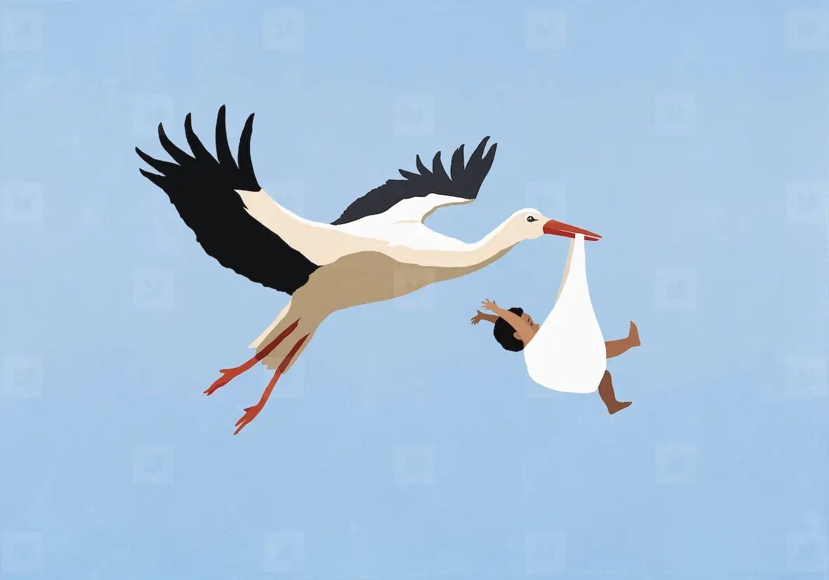 White Stork Delivering Baby Boy Flying In Blue Sky Photo (279529 ...