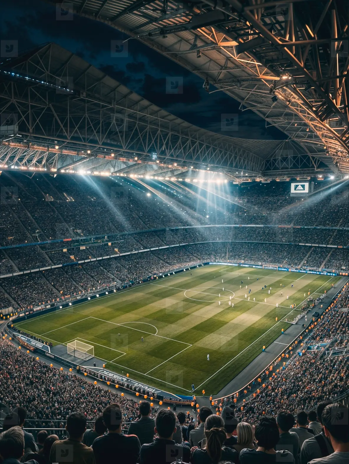 The Football Stadium Is Filled With Fans Photo (295299) - YouWorkForThem