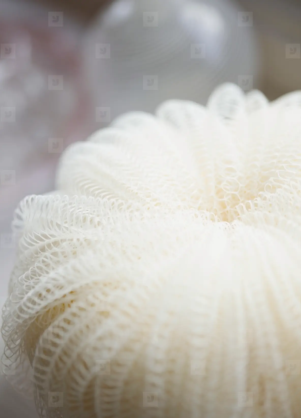 Extreme Close Up Of An Exfoliating Puff Sponge Photo (307669 ...