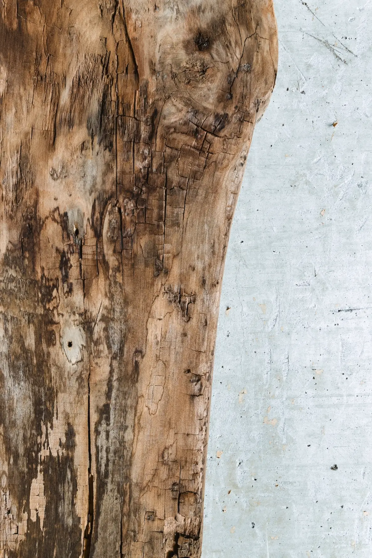 Close-up Of Weathered Wood Texture Next To A Rough Concrete Wall ...