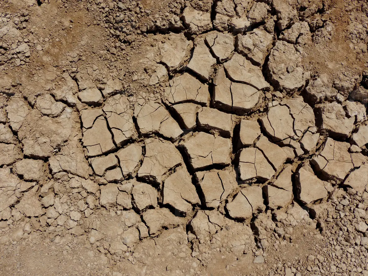 Mud Texture Photo (44807) - YouWorkForThem