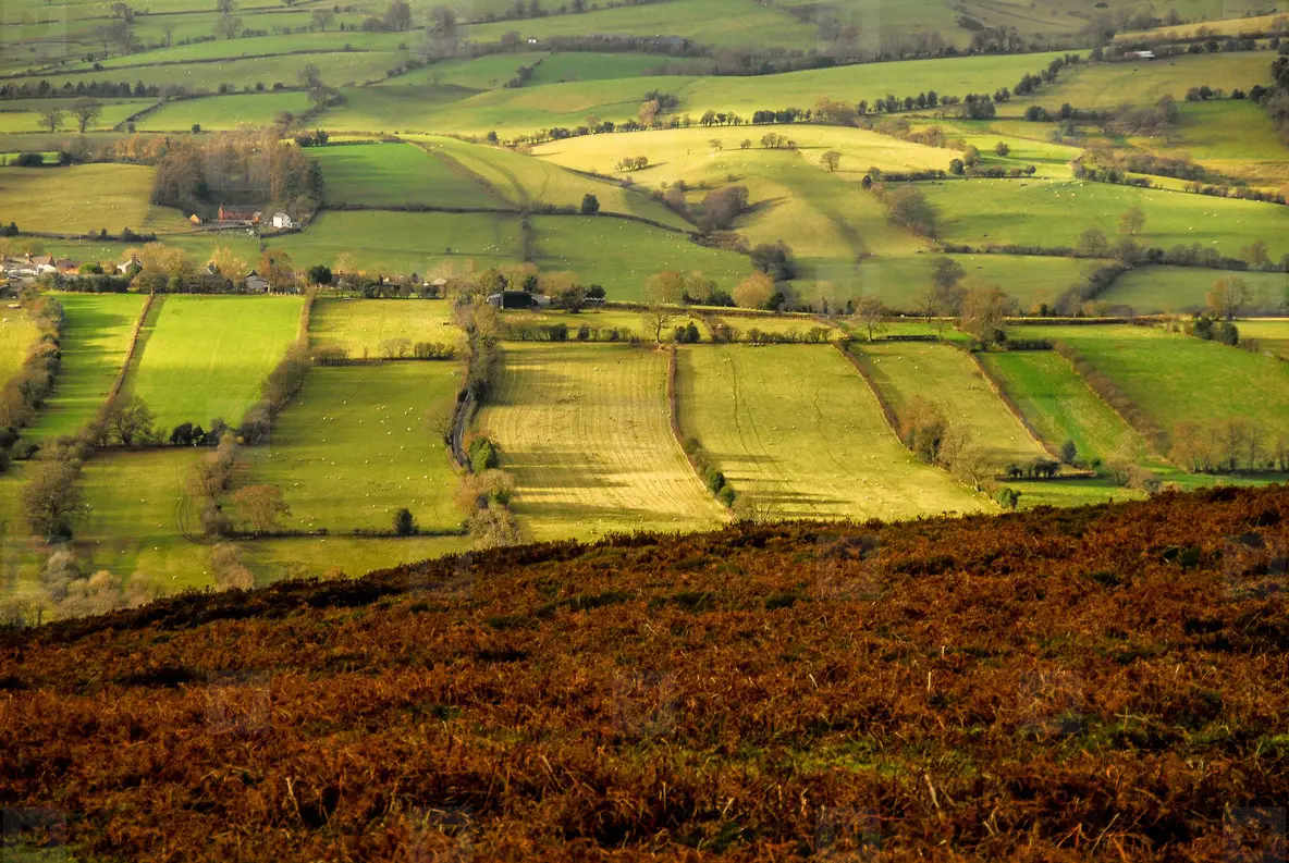 Rural Scenes Photo (45348) - YouWorkForThem