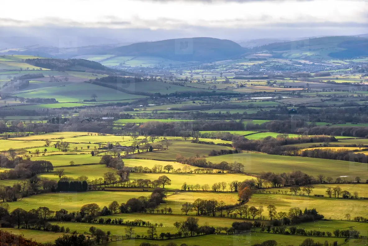Rural Scenes 4 Photo (45351) - YouWorkForThem