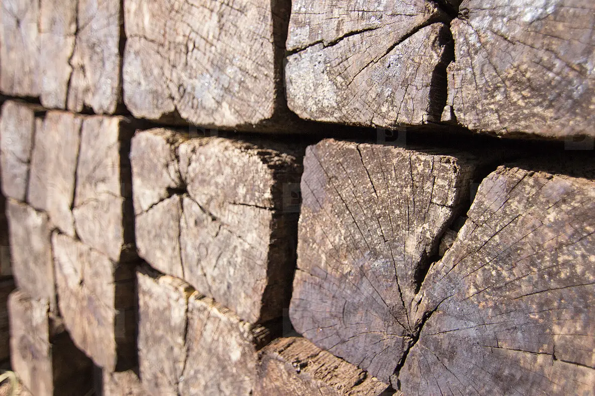Pile Of Chopped Fire-wood Photo (47513) - YouWorkForThem