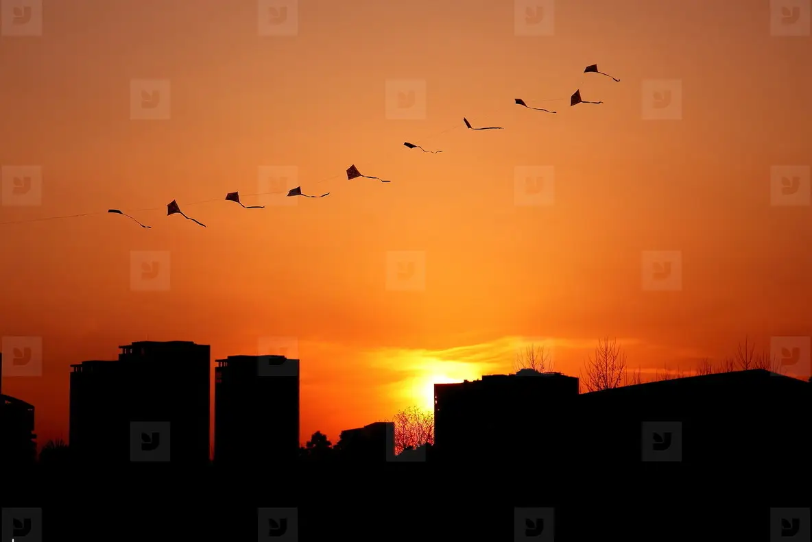 Go Home Photo (50241) - YouWorkForThem