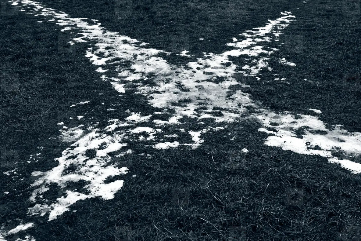 Snow Crossing Photo (51341) - YouWorkForThem