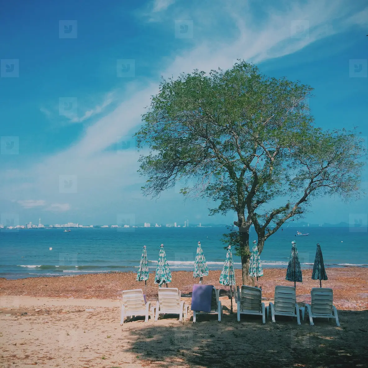 Sea Beach With Sunbeds Photo (52377) - YouWorkForThem