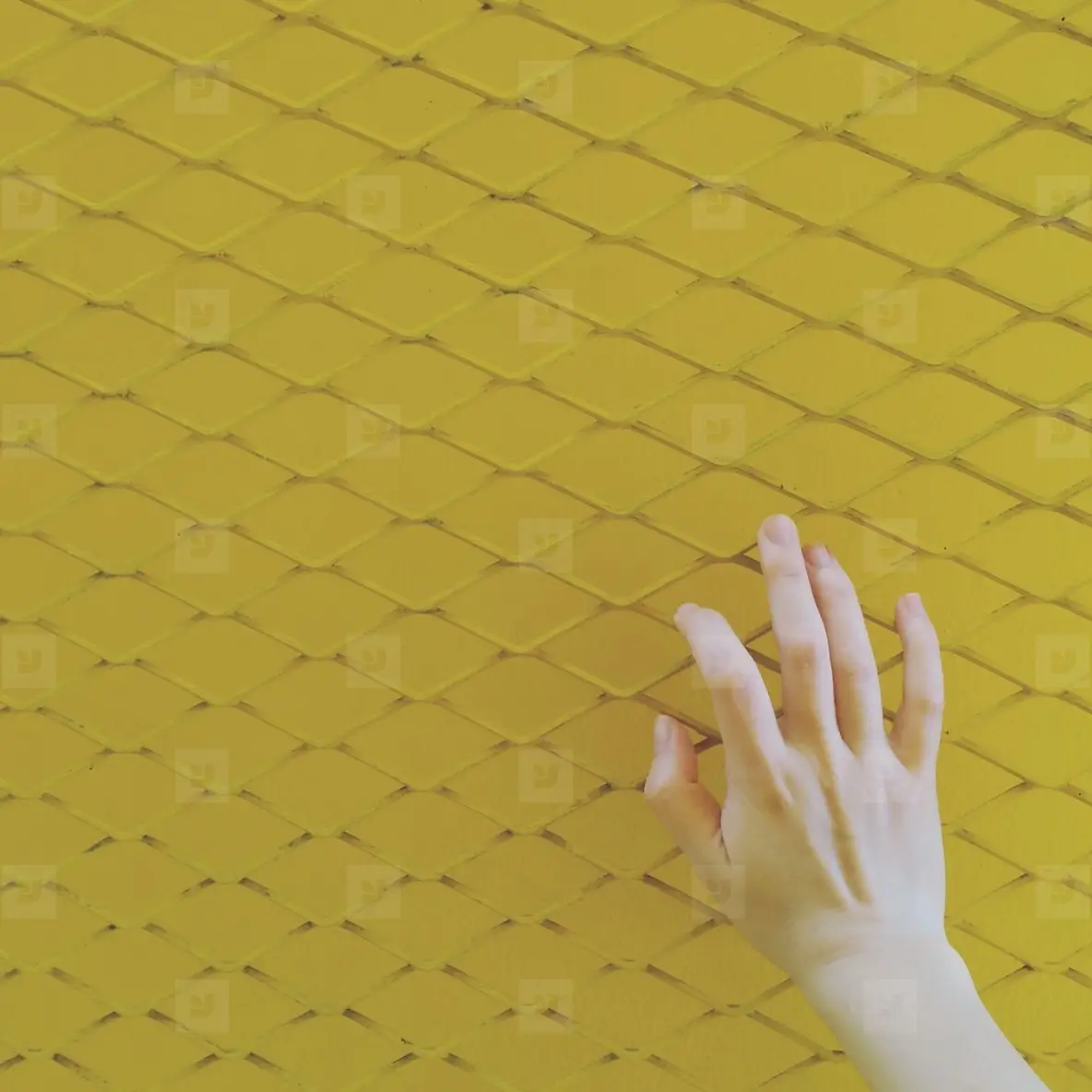 Yellow Grid Photo (56007) - YouWorkForThem